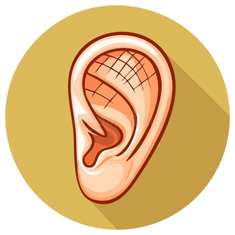 Cartoon Human Ear Cartoon Ear Human Stock Vector Illustration And