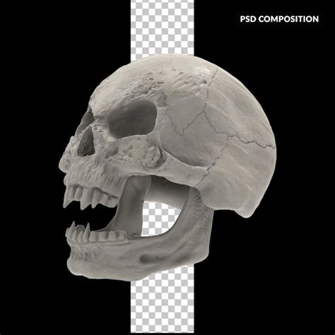 Premium Psd Skull Head
