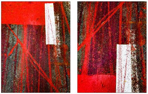 Susan Bowen United States Contemporary Photographer Artist Artmajeur