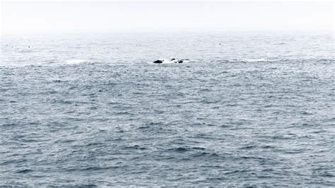 Computer Wallpaper에 있는 Hailey G님의 핀