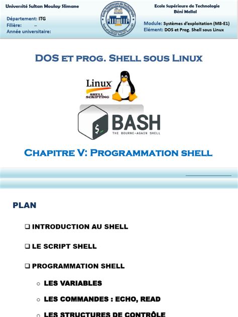 Cours Dos Linux Chapitre 5 Programmation Shell Pdf