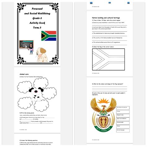 PSW Grade 6 Activity Book Term 3 Teacha