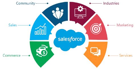 Saas Vs Paas In Salesforce Key Differences Updated 2025