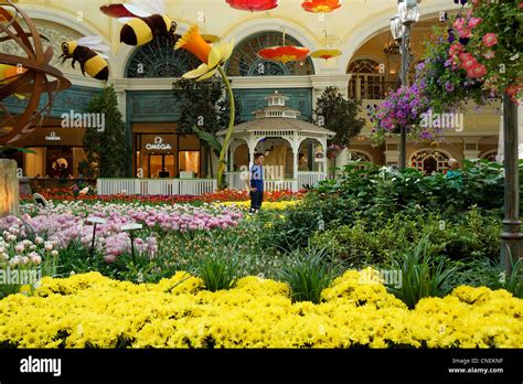 Las Vegas Hotels With Gardens At Edward Foley Blog