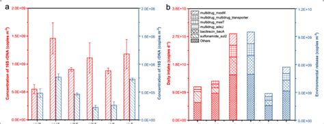 A Concentration Copies M − 3 Of 16s Rdna And 18s Rdna At Six Download Scientific Diagram