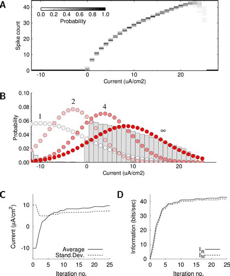Figure 65 From Sensory Coding In Natural Environments Semantic Scholar