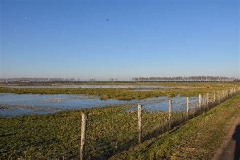 Ellen Vanfraechem Posted On Linkedin