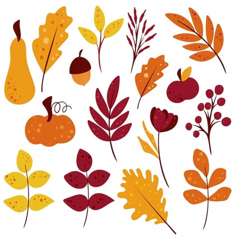 Premium Vector Hand Drawn Set Of Autumn Leaves Berries Pumpkins Apple