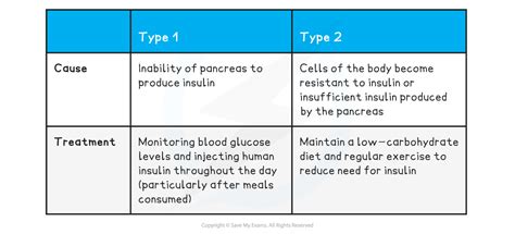 Insulin Gcse Biology Revision Notes