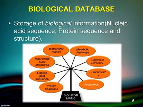 Primary And Secondary Database Ppt Databases Computer Software And Applications