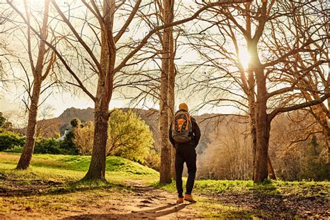 하이킹 숲 배낭 남자 여행 모험 피트니스 웰빙 라이프스타일 나무 햇살 공원 트레킹 산책 및 숲에서 탄소 발자국을 가진 야외 자연 스포츠 사람 25 29세에 대한 스톡 사진