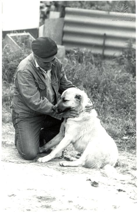 Iverieli ნოდარ დუმბაძე