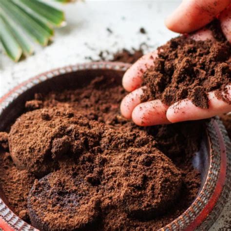 What Organic Fertilizer Is High In Nitrogen Discover The Best High Nitrogen Organic Fertilizer