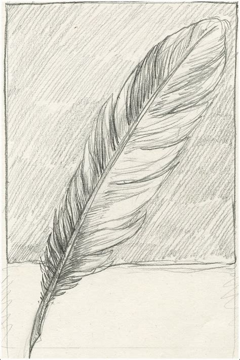 Raven Feather Drawing
