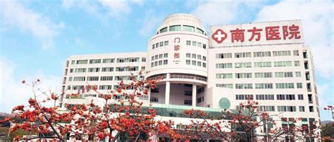 孩子生长发育异常？7月19日南方医院内分泌代谢科将开展暑期义诊活动 性腺 家长 相关