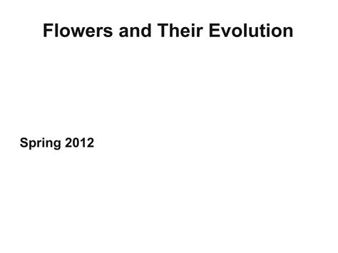 Angiosperms Taxonomy By Cladistic Approach Ppt