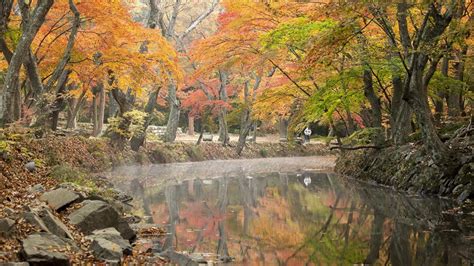 🍁선운사 단풍🌄🌳2022 Youtube