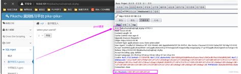 17 Owasp Top10 Sql注入（二）owasp Zap Sql注入 Csdn博客
