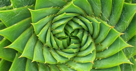 Retroactive Ramblings Project Euler In Cmd Even Fibonacci Numbers