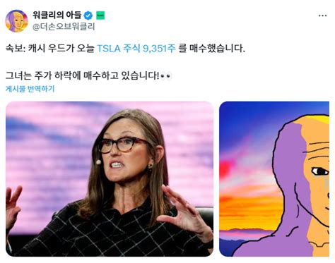 캐시우드 테슬라 9351주 매수 실시간 베스트 갤러리