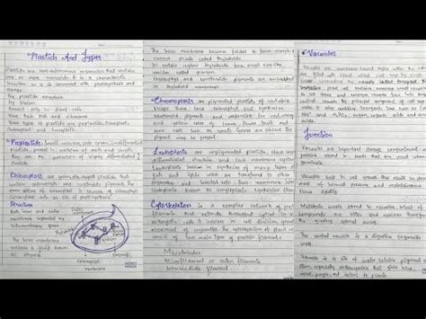 Plastids Class 11 Plastids Structure And Function Types Of Plastids