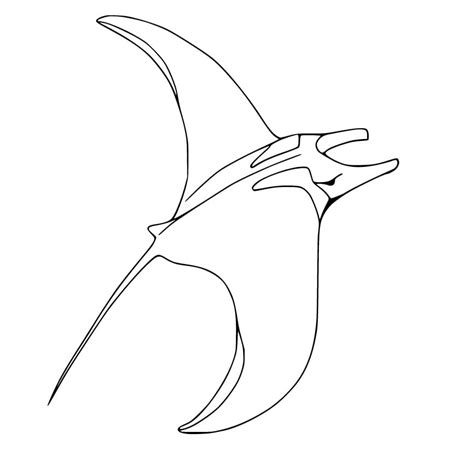 Manta Ray Coloring Page
