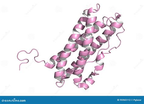 Prolactin Structure Stock Illustration Illustration Of Biochemistry
