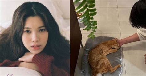 배다해 암 투병 간호 중 비강 림프종 전이 스스로 밥 먹지 않아” 세 번째 고비