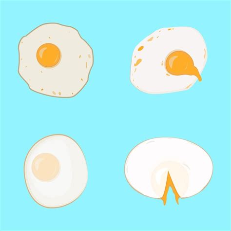 Premium Vector Egg Vector