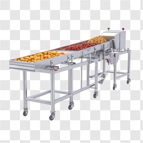 Efficient Fruit Sorting Conveyor System For Processing Premium Ai Generated Psd