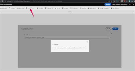 aem cloud service assets replace binary only keeping metadata r aem