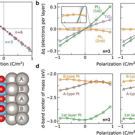Charge And Band Structure Response To Support Polarization A Surface
