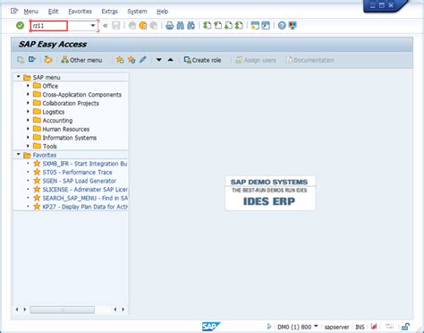 Enable GUI Scripting In SAP Process Runner