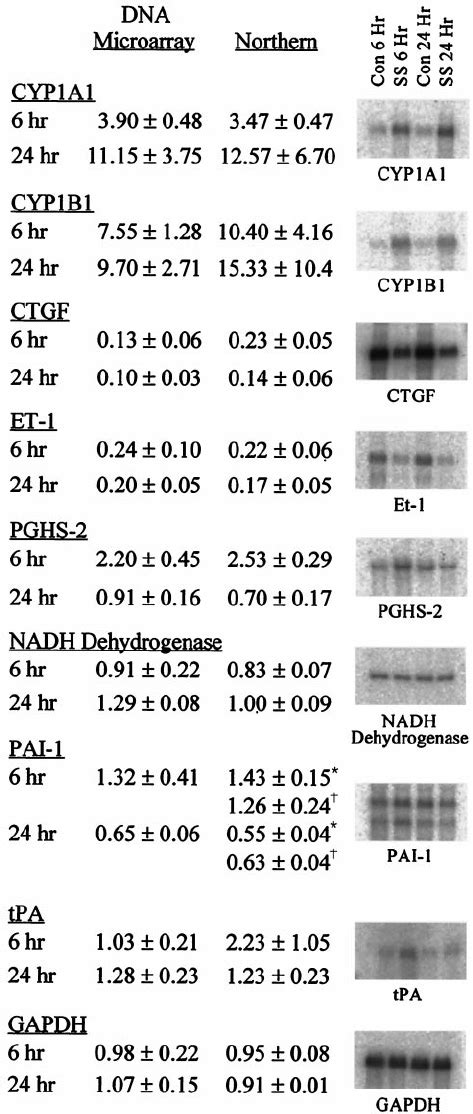 Comparison Of Dna Microarray Intensity Ratios And Northern Blot