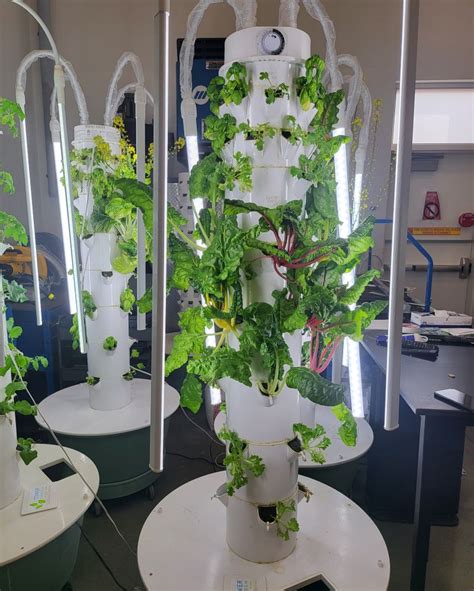 Ali Alyassi Posted On Linkedin