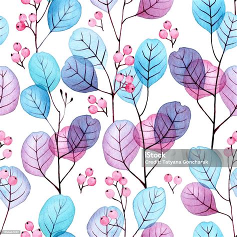 수채화 도면 투명 유칼립투스 잎이 있는 매끄러운 패턴 흰색 배경에 파란색과 분홍색 잎과 유칼립투스의 열매 엑스선 꽃 식물에 대한 스톡 벡터 아트 및 기타 이미지 Istock