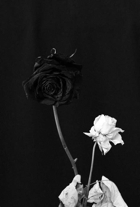 10 Ideias De Papel De Parede Preto E Branco Papel De Parede Preto E