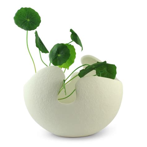 Egg Ceramic Flower Vase Lovinghomer