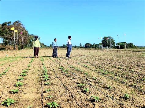 ခရိုင်စိုက်ပျိုးထုတ်လုပ်မှု တိုးတက်မြင့်မားရေးကော်မတီအဖွဲ့ဝင်များက သာပေါင်းမြို့နယ်၊ သံလျှက်စွန