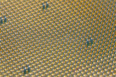 Macro Of Cpu Gold Pins And Chip Of Computer Stock Photo Image Of Gold Closeup 337655860