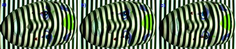 Fringe Patterns Projected Onto Objects Surface With Phase Shifted Of