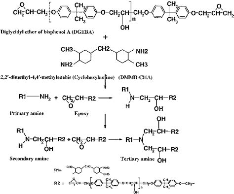 Schematic Diagram Of An Epoxy Dgeba And Amine Dmmb Cha Reaction