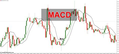 Mastering Macd Indicator For Forex Trading Signals Shop Ea Forex