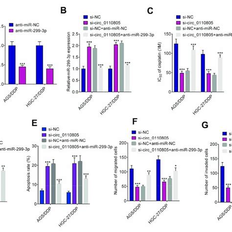 Circ0110805 Knockdown Inhibits Gastric Cancer Resistance To Cisplatin