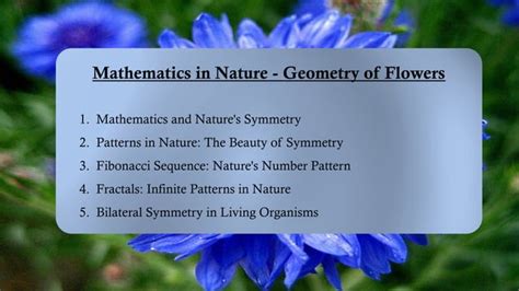Ppt On Mathematical Application In Practical Life Ppt