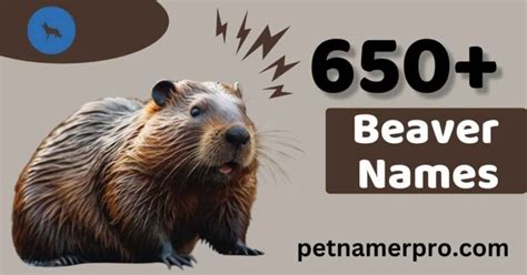 Best Beaver Names 220 Different Other Ways To Say Beaver Names In