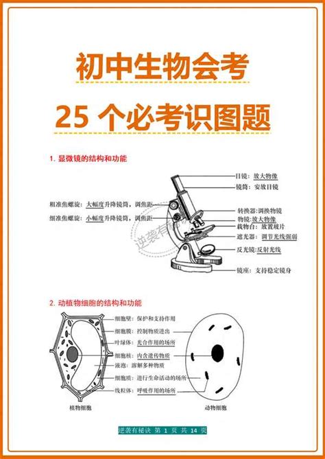 初中生物必考56张图、学好生物的十个方法 考试信息 华网