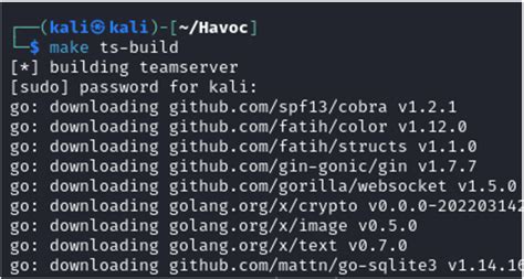 Havoc C2 Installation Use And Features Security Art Work
