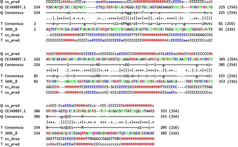 The Sequence Alignment Between The Predicted Model Modeller And The