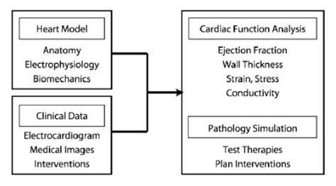 An Overview Of The Interaction Of A Cardiac Model With Clinical Data
